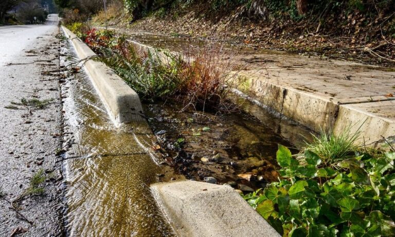 An Introduction To Bio-Swales and Their Uses